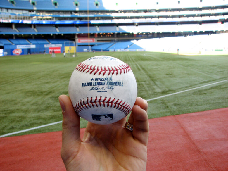 The Time I Was a Meme - The Ballpark Guide