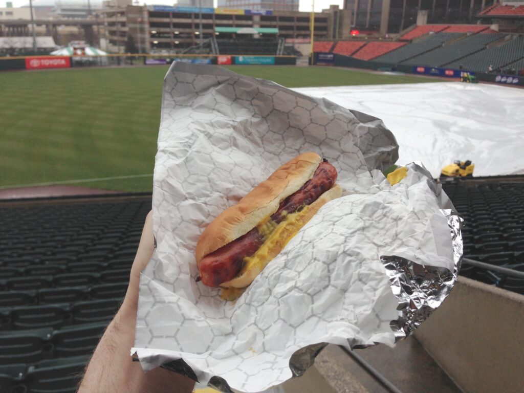 BEST Coca-Cola Field Food (Buffalo Bisons) - The Ballpark Guide