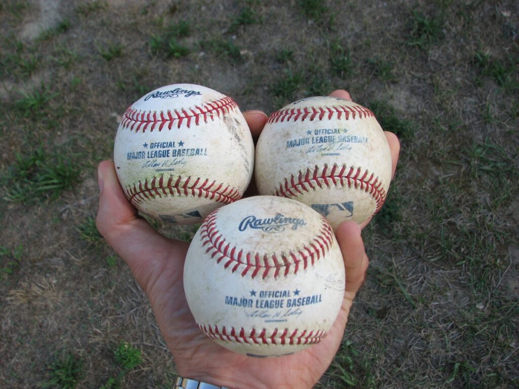 How To Get A Ball At Arthur W. Perdue Stadium (Delmarva Shorebirds ...