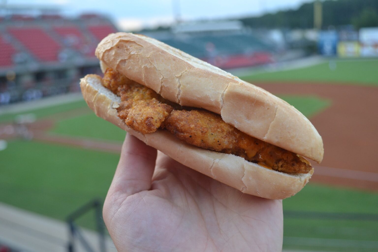 BEST Five County Stadium Food (Carolina Mudcats) - The Ballpark Guide