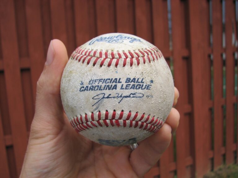 How To Get A Ball At Nymeo Field at Harry Grove Stadium (Frederick Keys ...